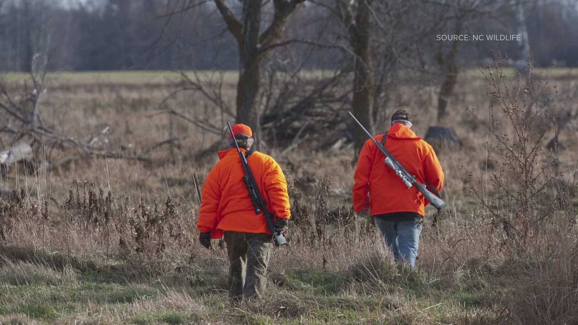 Hunting-related deaths and serious injuries see a spike this year ...