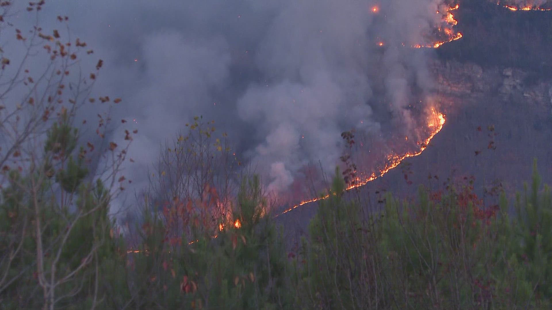 Stokes County wildfire grows to nearly 60 acres in 24 hours | wcnc.com