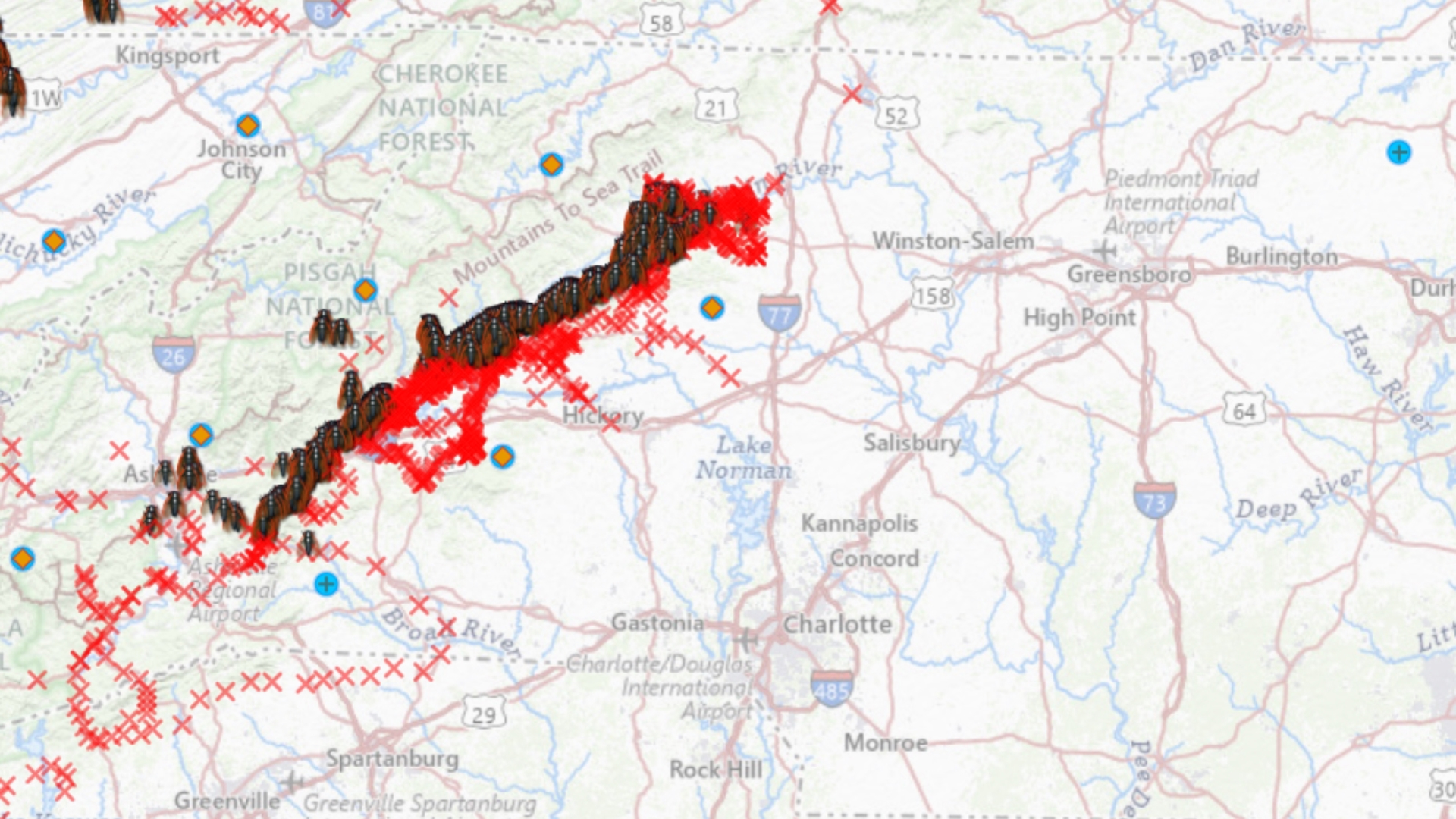 When are the cicadas going away and when will they return to NC? | wcnc.com