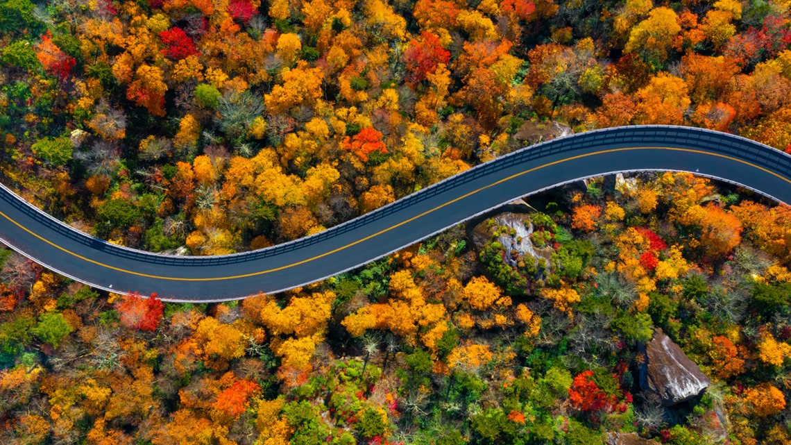 8 miles of Blue Ridge Parkway closed for this reason | wcnc.com