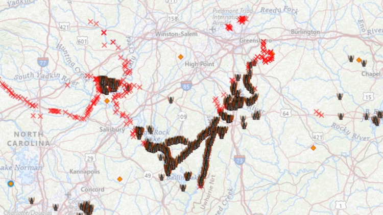 When are the cicadas going away and when will they return to NC? | wcnc.com