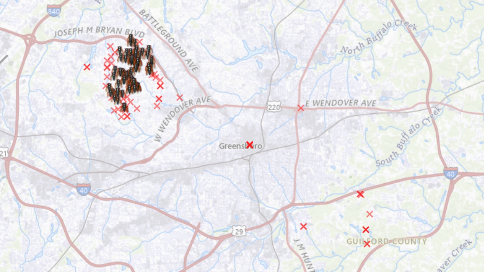 When are the cicadas going away and when will they return to NC? | wcnc.com