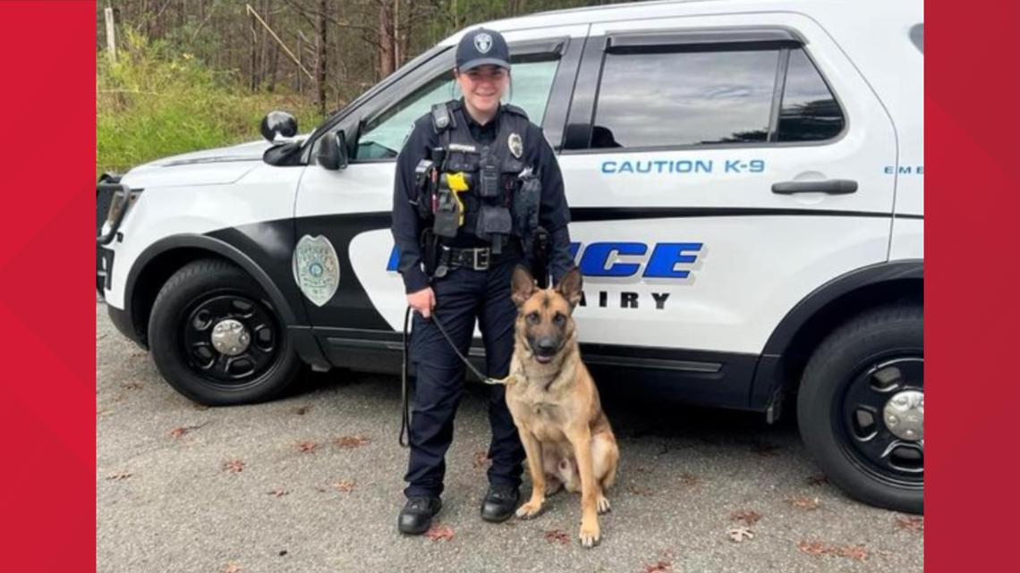 K-9 shot and killed after pursuit in Mount Airy | wcnc.com