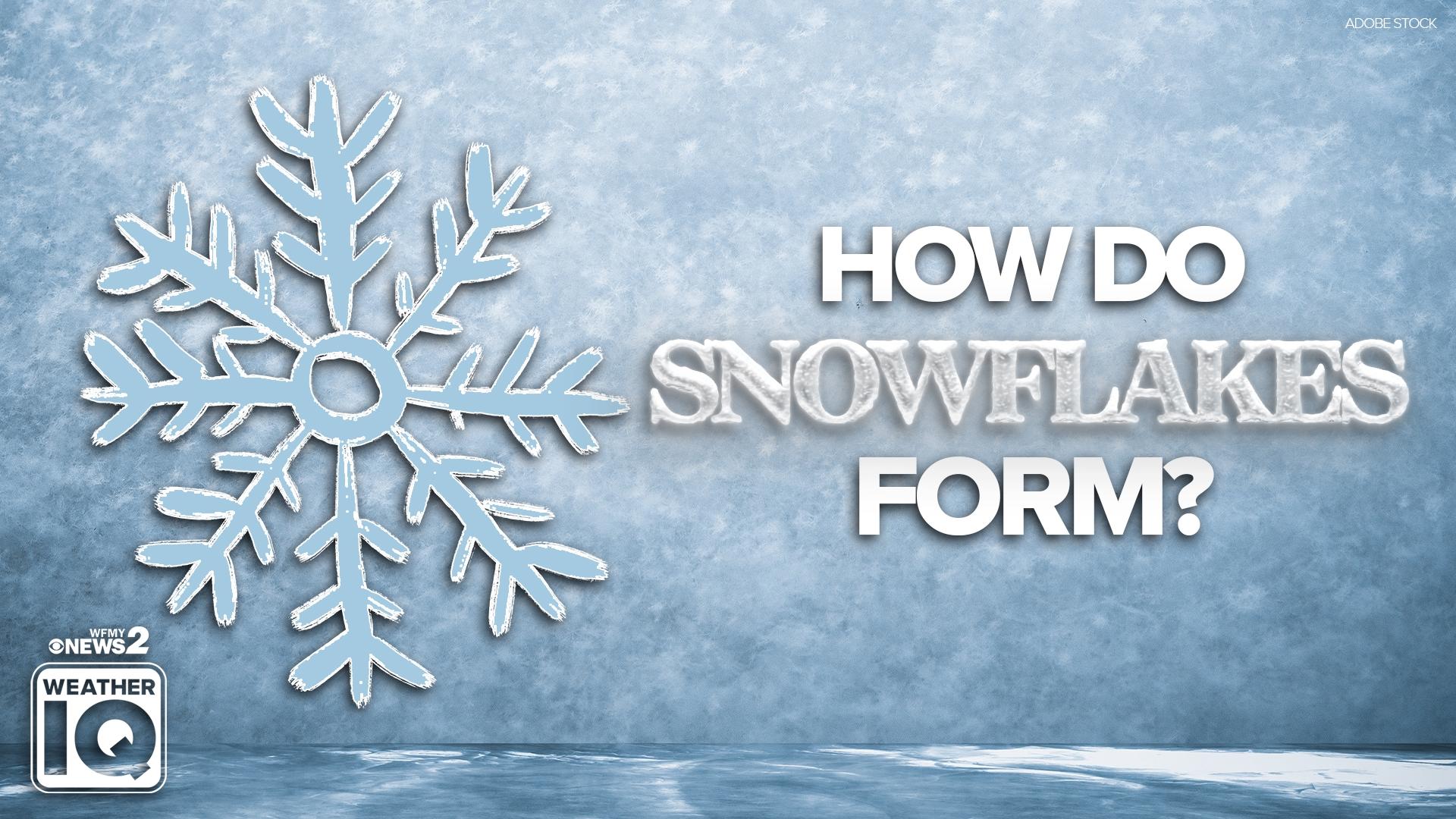 Did you know there are different types of snowflakes? | wcnc.com