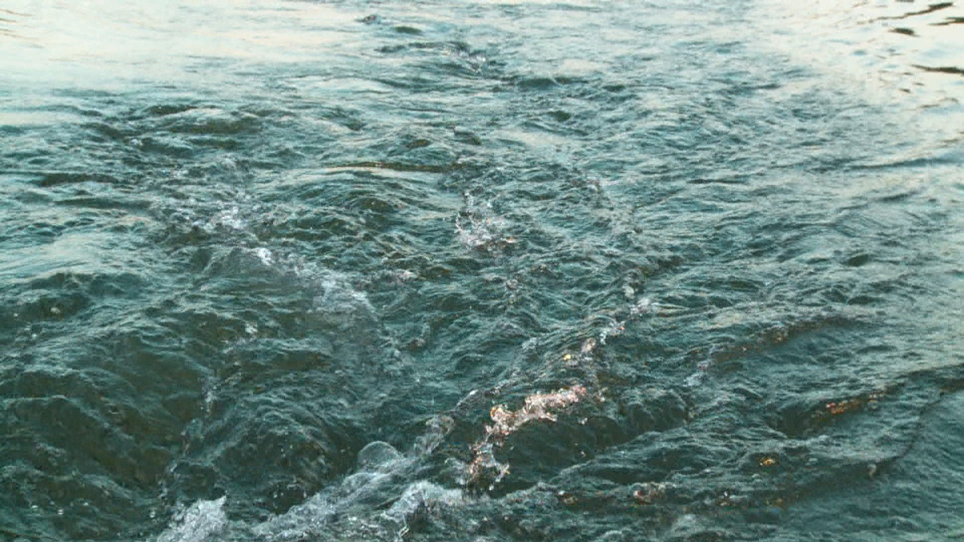 Boat crash on Lake Marion near Calhoun County leaves one person hurt ...