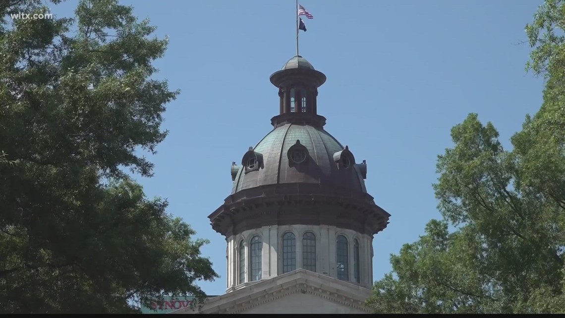 South Carolina Senate Budget: What to know | wcnc.com