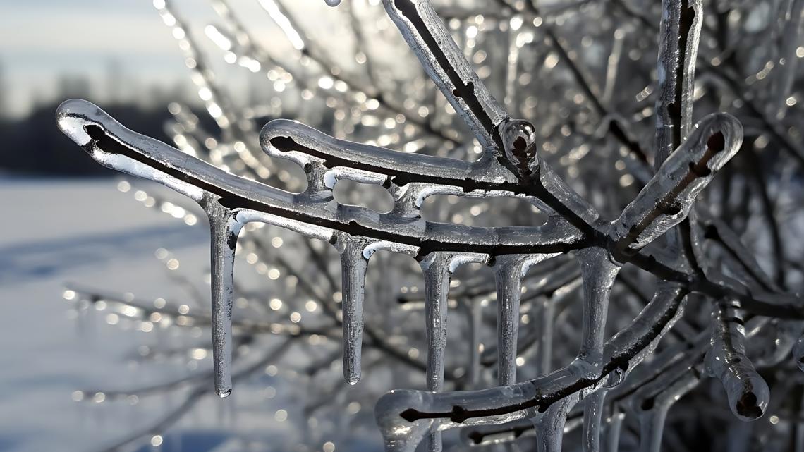 Trump approves Emergency Declaration for South Carolina ahead of winter ...