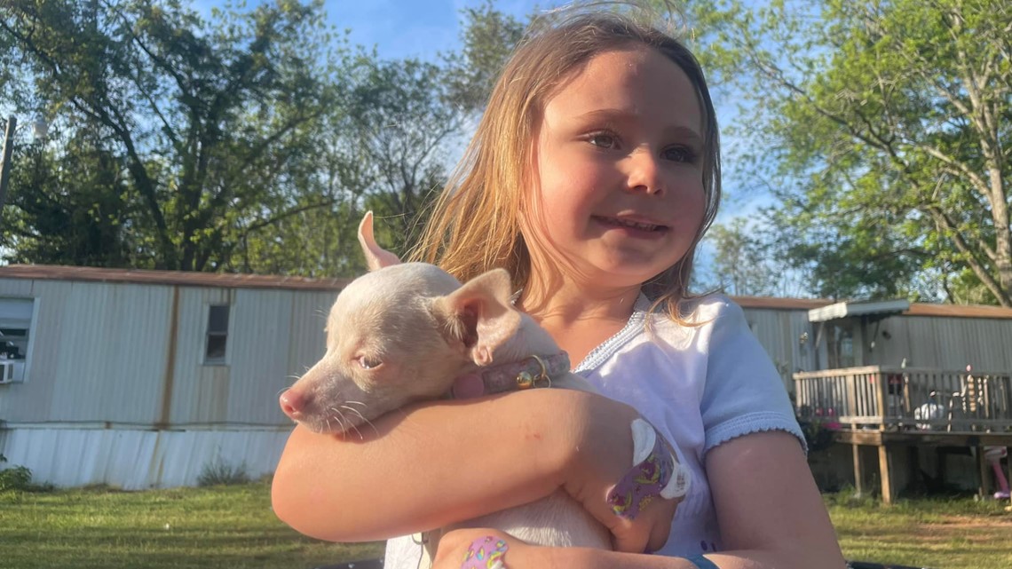 Ga. girl safe after falling into 40-foot-deep well | wcnc.com