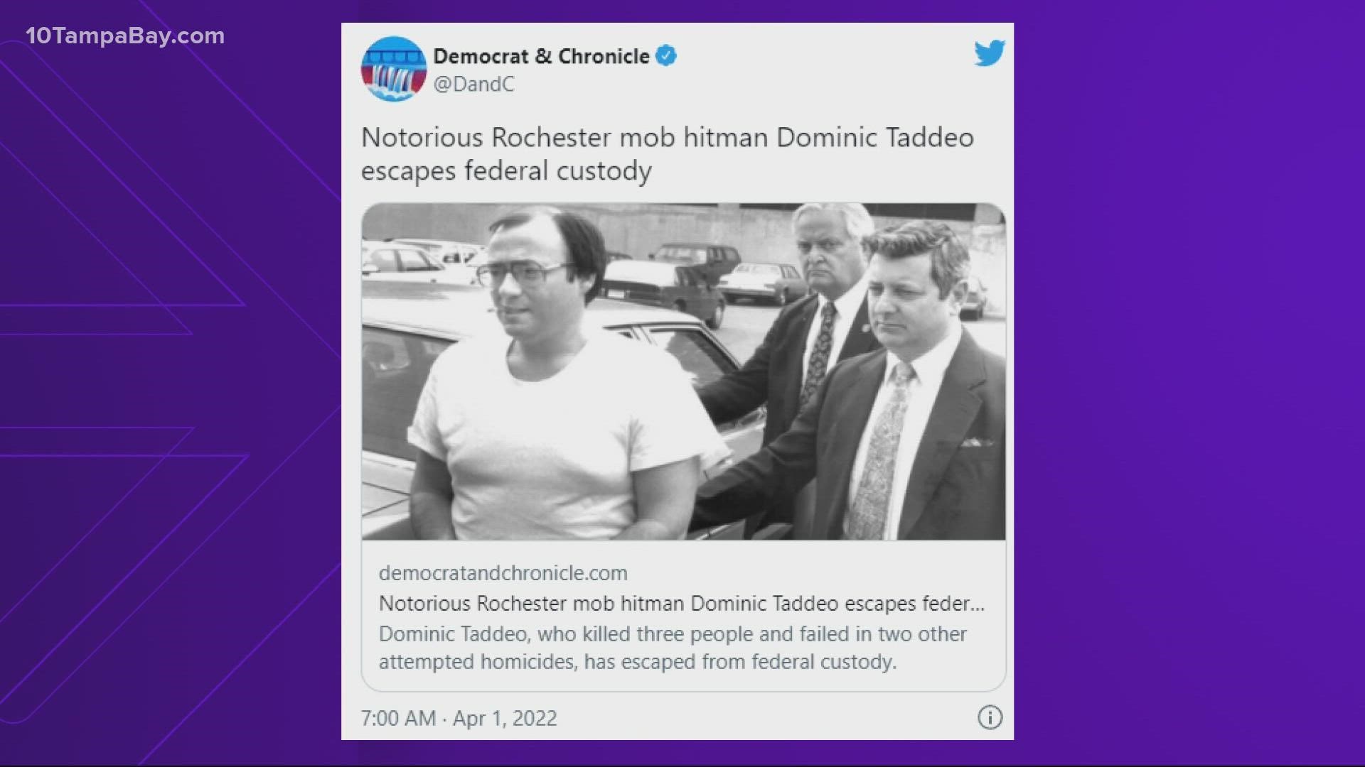 Dominic Taddeo, NY mobster, rearrested in Florida after escape | wcnc.com