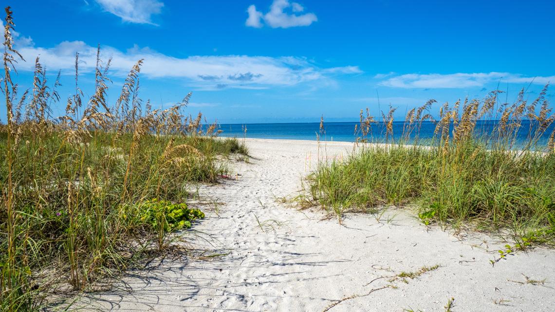 WCNC Charlotte Meteorologist Bekah Birdsall | wcnc.com