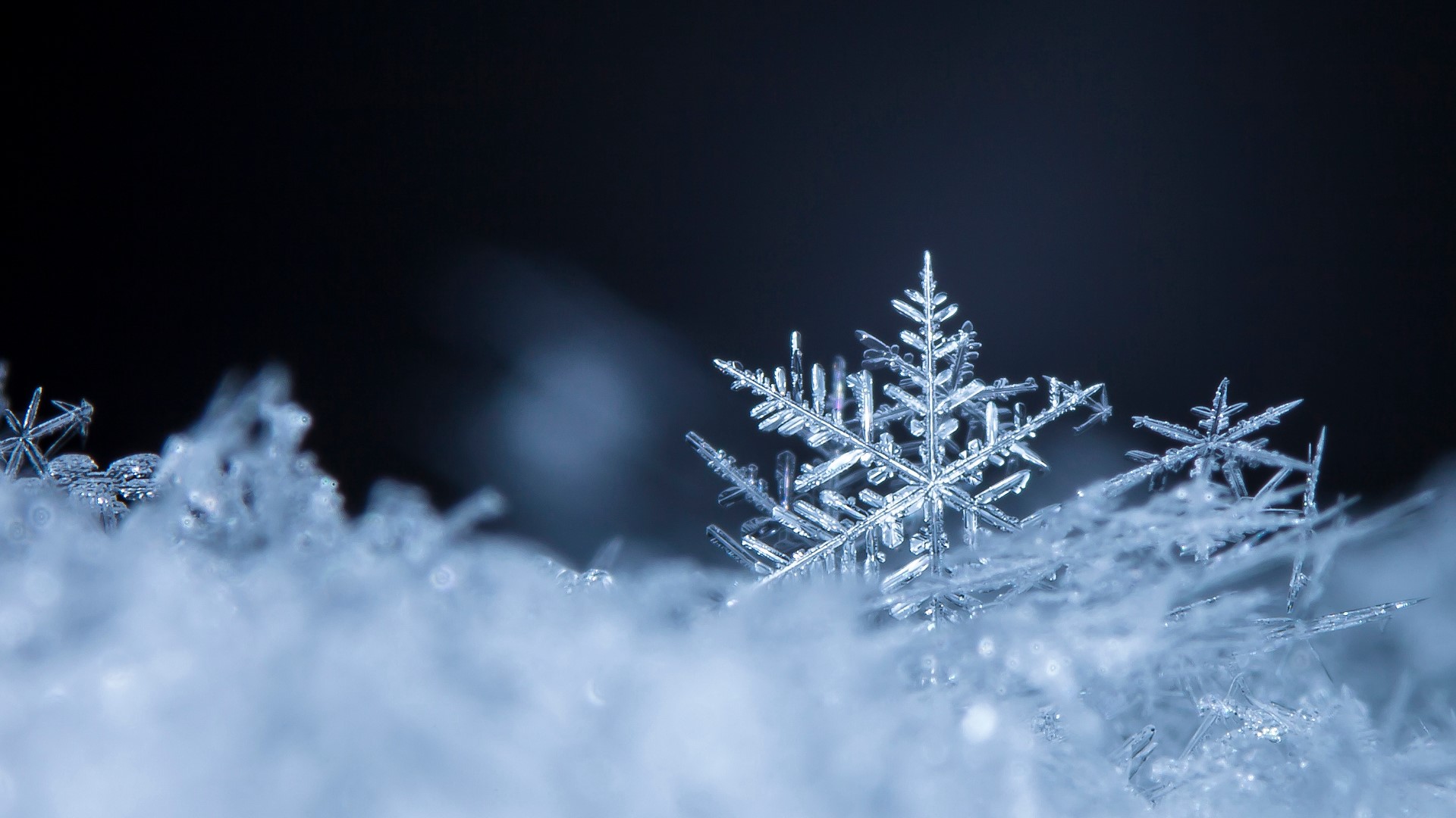 The different types of snowflakes and why they matter | wcnc.com