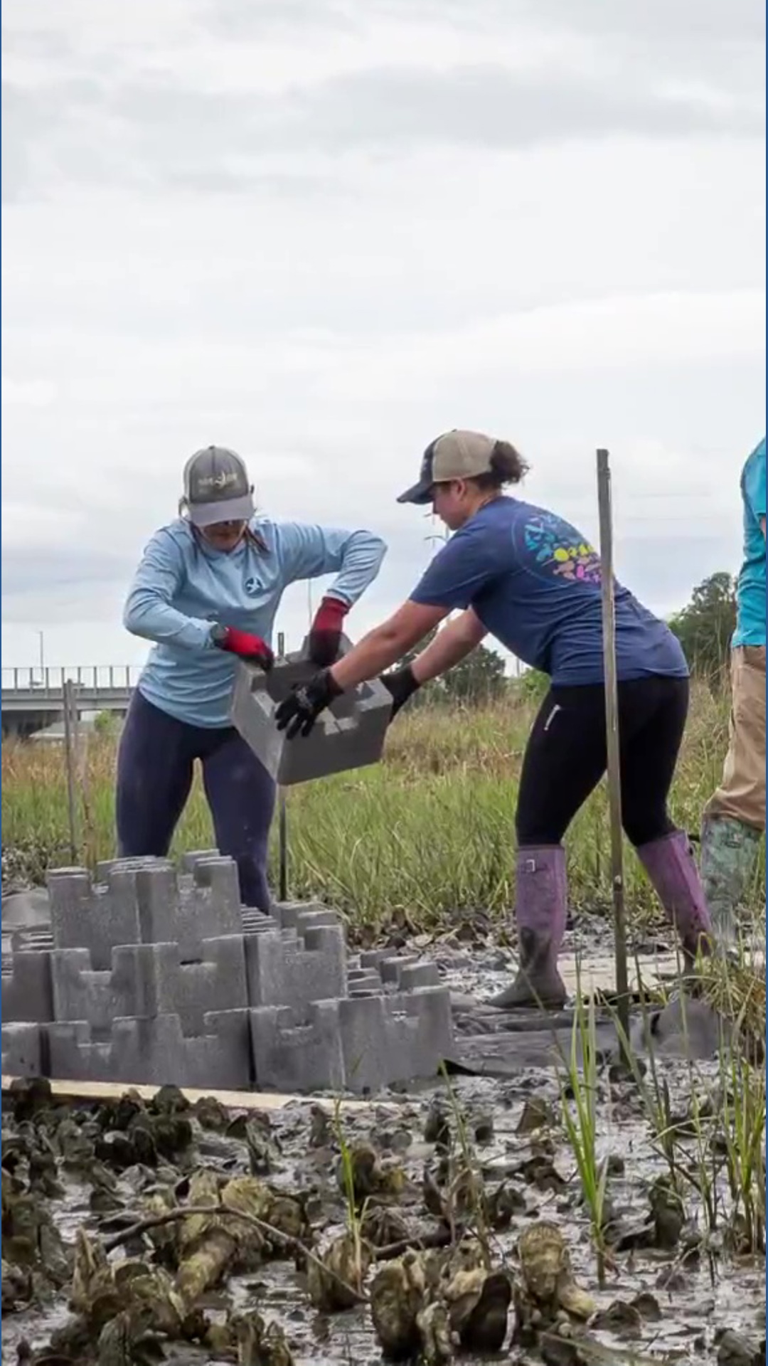 Chesapeake Bay Foundation volunteers build its largest living shoreline ...