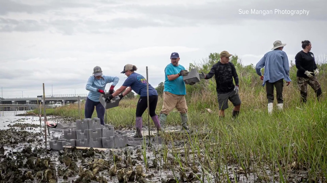 Chesapeake Bay Foundation volunteers build its largest living shoreline ...